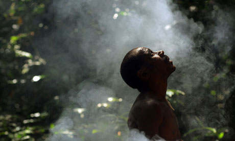 Backyardsafari's Blog | Environmental Inspiration in Your Own Backyard