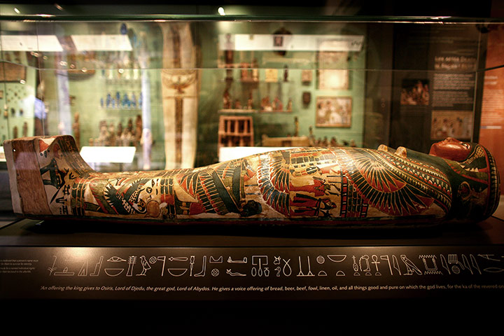 Scarab spring: the Ashmolean Museum's new Egyptian…