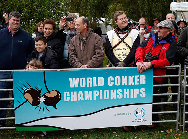 2013 World Conker Championships – in pictures
