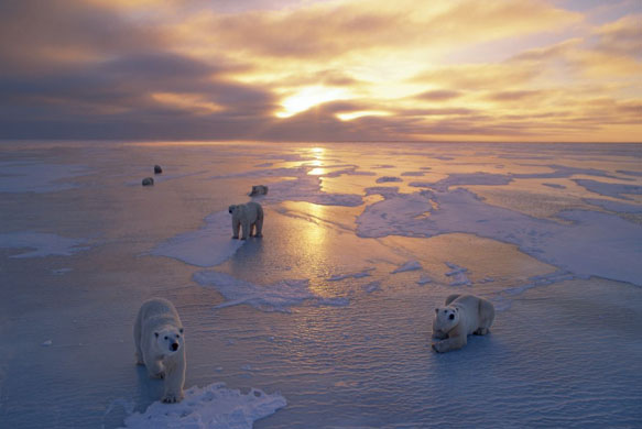 World Environment Day