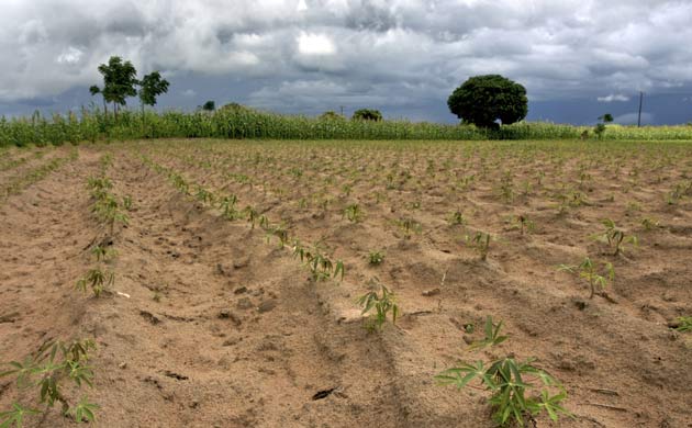 Malawi and Bangladesh