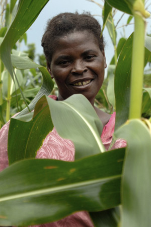 Malawi and Bangladesh