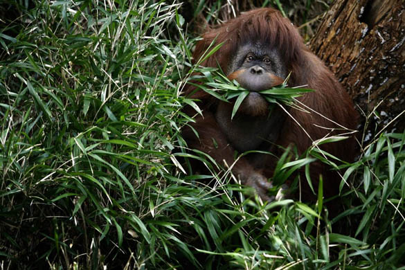 24 hours in pictures