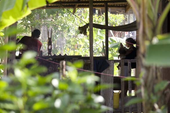 The dam that brought down a king