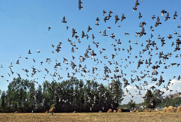 24 hours in pictures