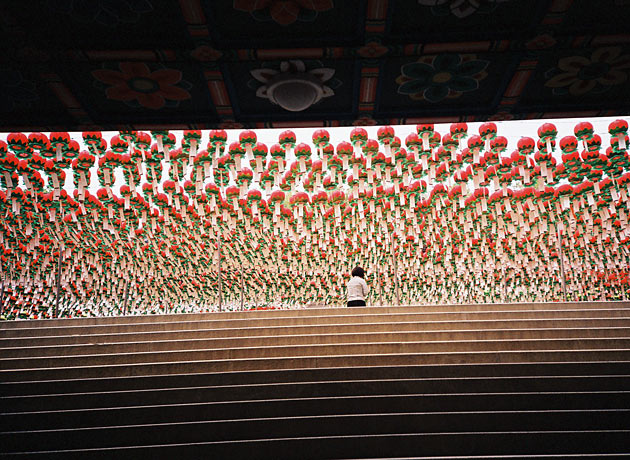 Your photographs: May 2009