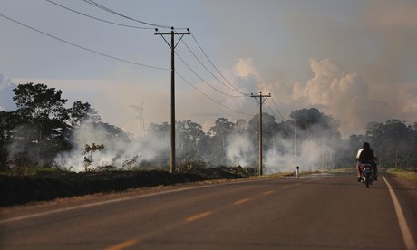 Amazon roads and dams pose threat to rainforest and…