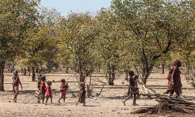 Drought in Namibia. Photo credit: Google | by Willem Van Cotthem ...