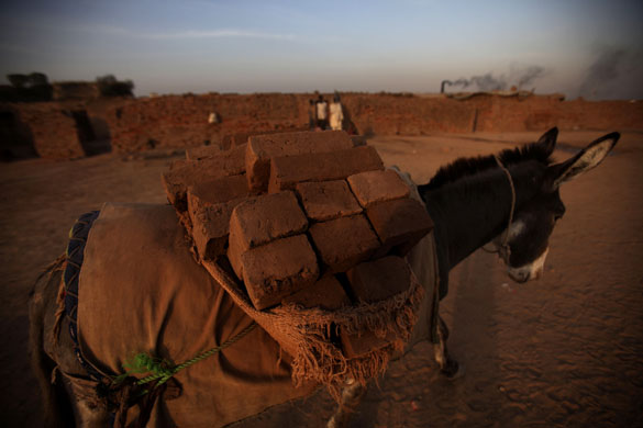 24 hours in pictures