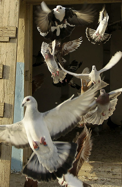 24 hours in pictures