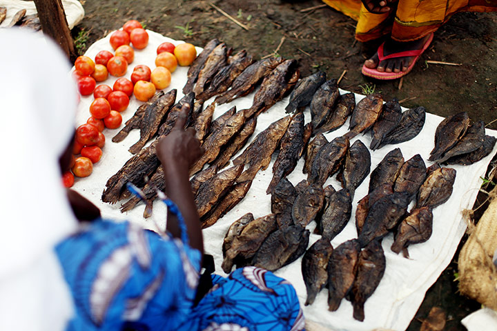 Katine through the years