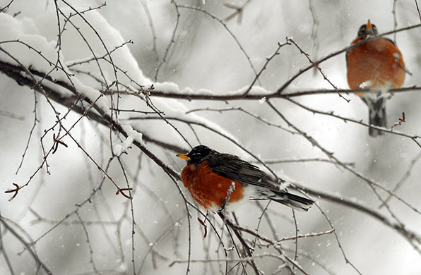 24 hours in pictures