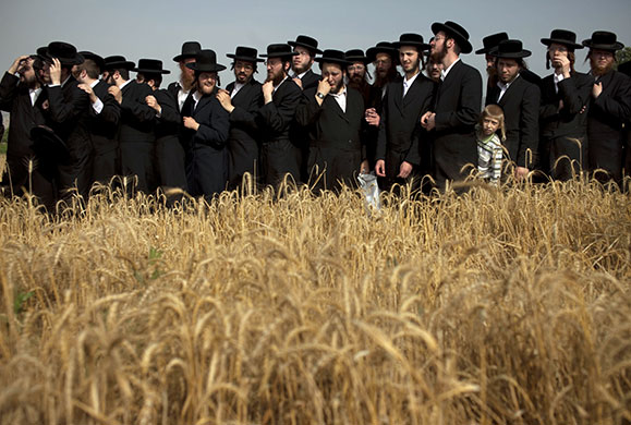 24 hours in pictures