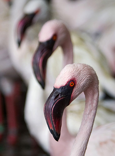 24 hours in pictures