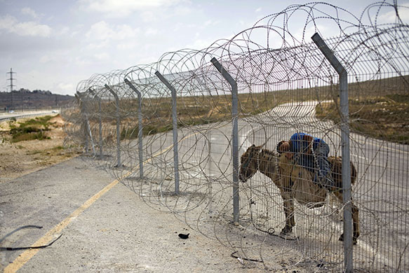 24 hours in pictures