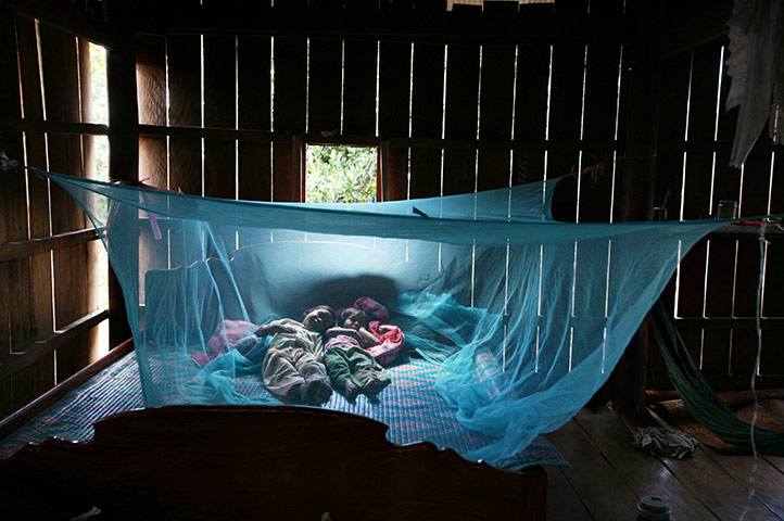 24 hours in pictures