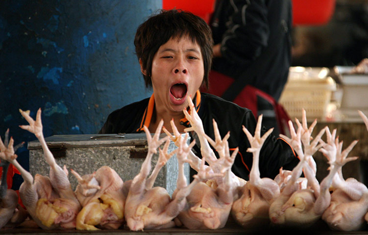 24 hours in pictures