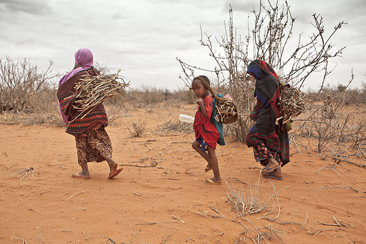 Somalis seek refuge in Ethiopian camps – in pictures
