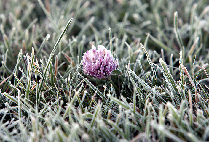 Frost comes to the UK – in pictures