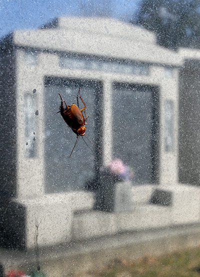 24 hours in pictures