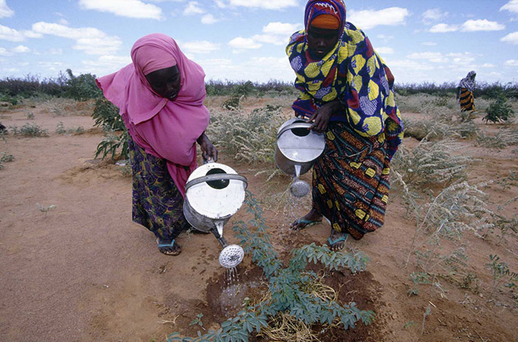 Dadaab refugee camps in Kenya, 20 years on – in…