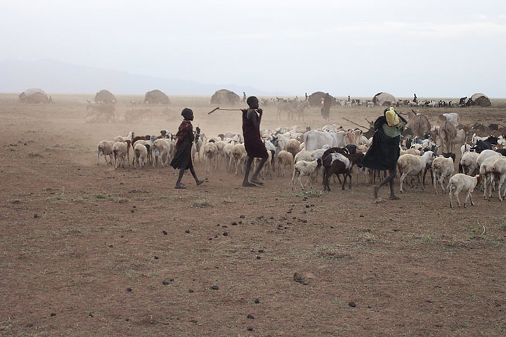 Is pastoralism in crisis? – in pictures