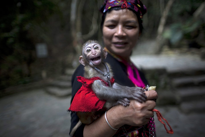 24 hours in pictures