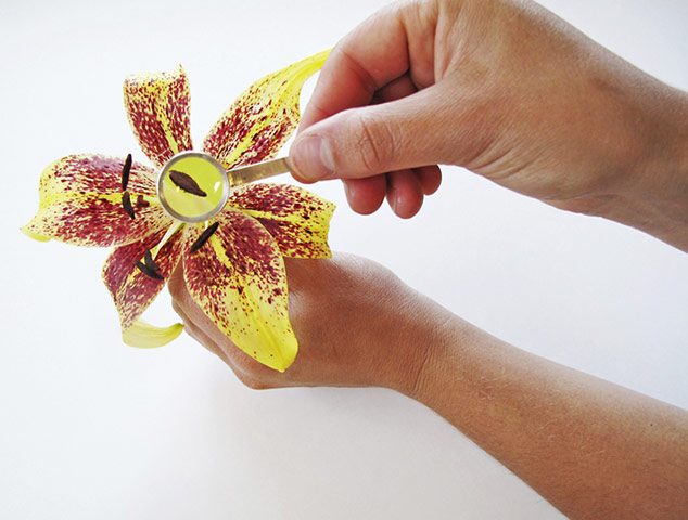 HUMAN+ The Future of Our Species - in pictures