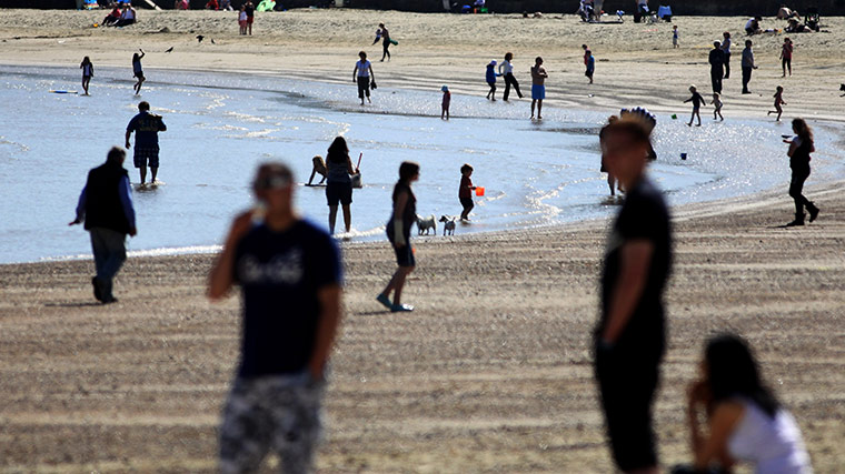 Spring sunshine in the UK – in pictures