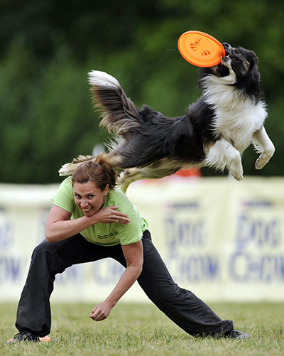 The Skyhoundz Disc Dog European Championship