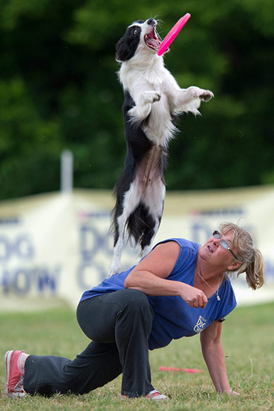 The Skyhoundz Disc Dog European Championship – in…