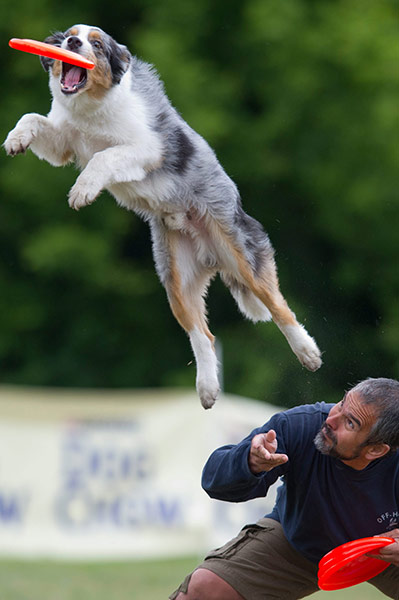 The Skyhoundz Disc Dog European Championship