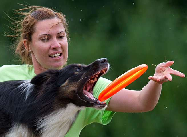 The Skyhoundz Disc Dog European Championship – in…