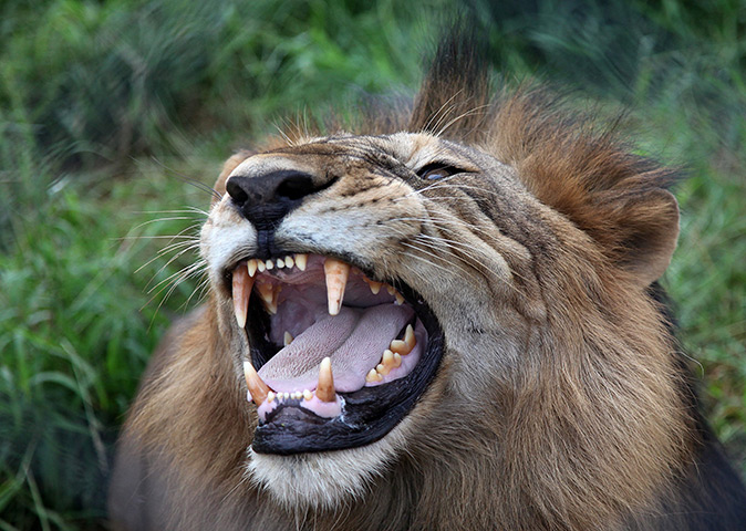 24 hours in pictures