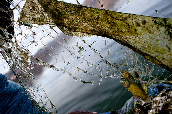 Urban population boom threatens Lake Titicaca - in…