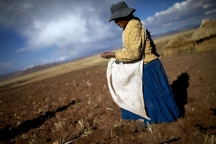 Urban population boom threatens Lake Titicaca - in…