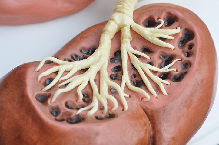 The world's most revolting cakes - in pictures