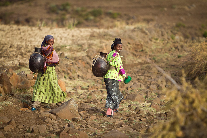 Seed diversity: a global route to food security? – in…