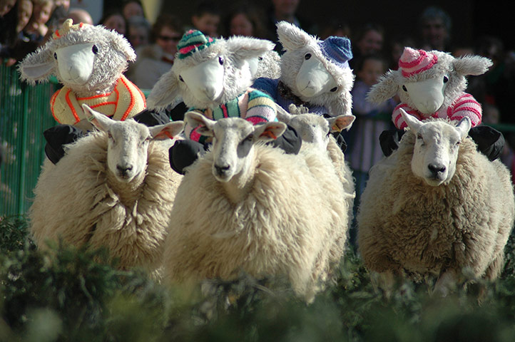 South-west attractions - in pictures