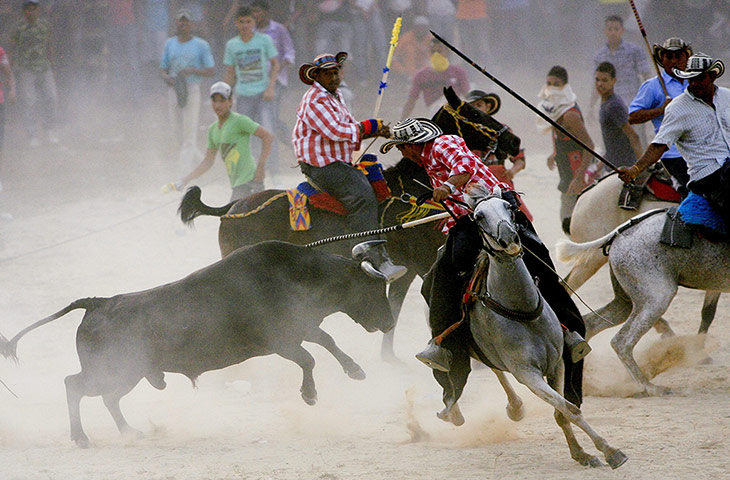 24 hours in pictures