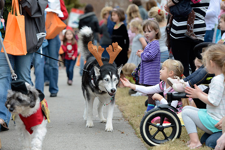 Reindog parade at the Atlanta Botanical Garden – in…