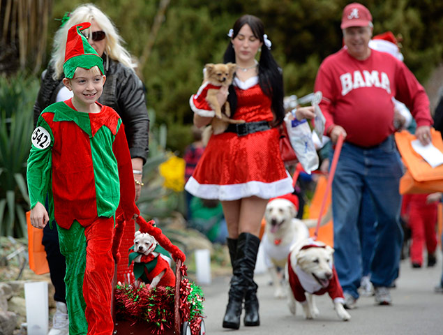 Reindog parade at the Atlanta Botanical Garden – in…