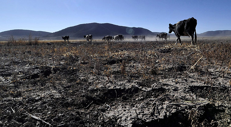 Drought in northern Mexico – in pictures