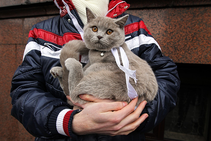 Human chain protest targets Vladimir Putin