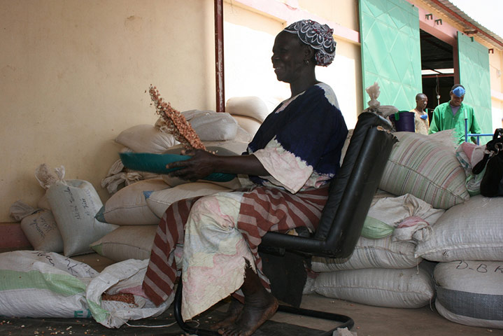 Mali seed entrepreneur discovers taste for food…