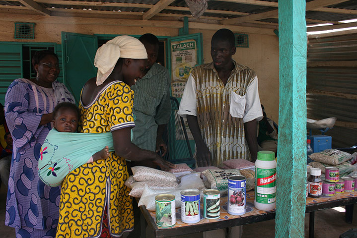 Mali seed entrepreneur discovers taste for food…