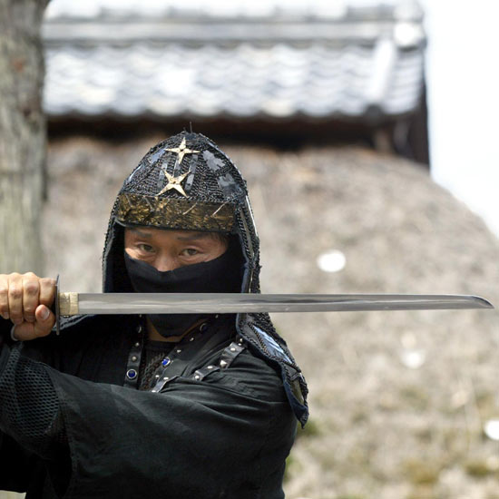 I Am Number Four in pictures