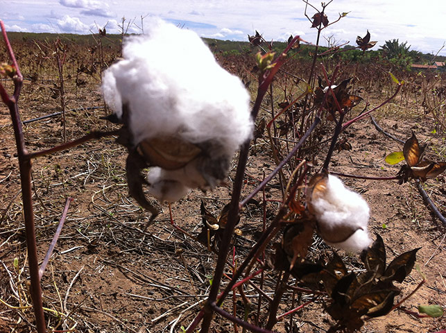 Brazil's textile and fashion industry - in pictures