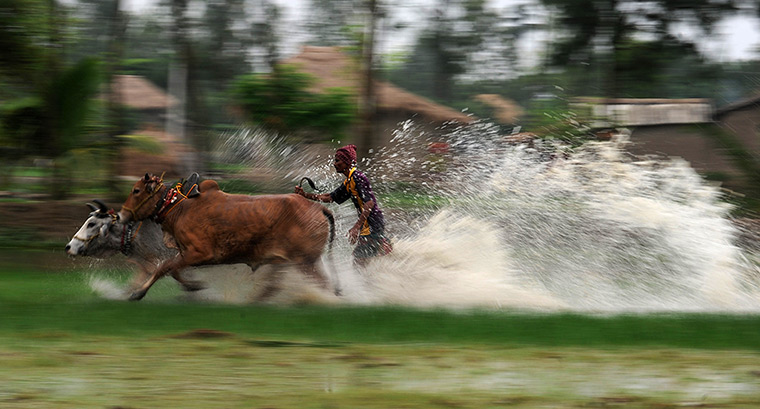 24 hours in pictures