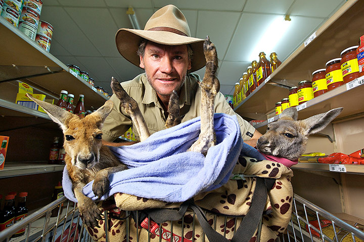 Kangaroo Dundee: The man who cares for orphaned…
